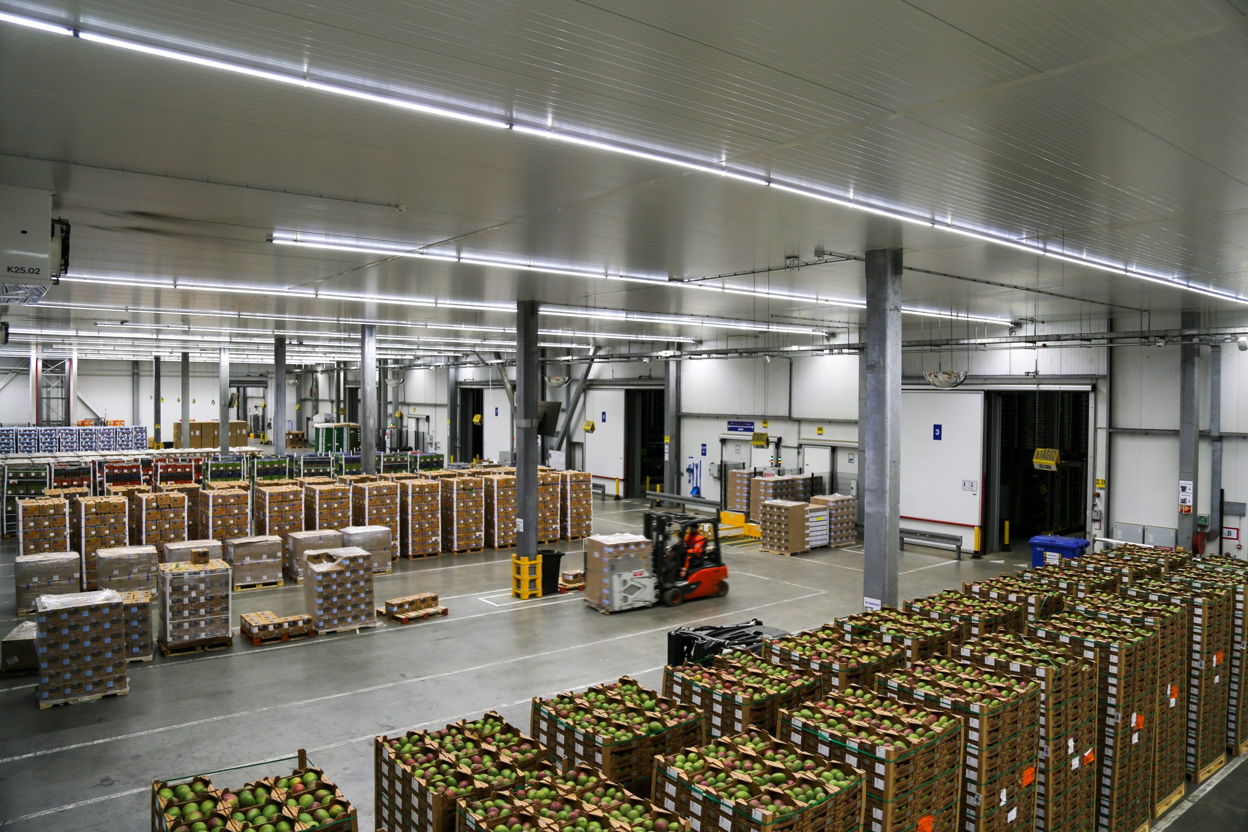 COOL PORT PACKING - ROTTERDAM - LUMINAID